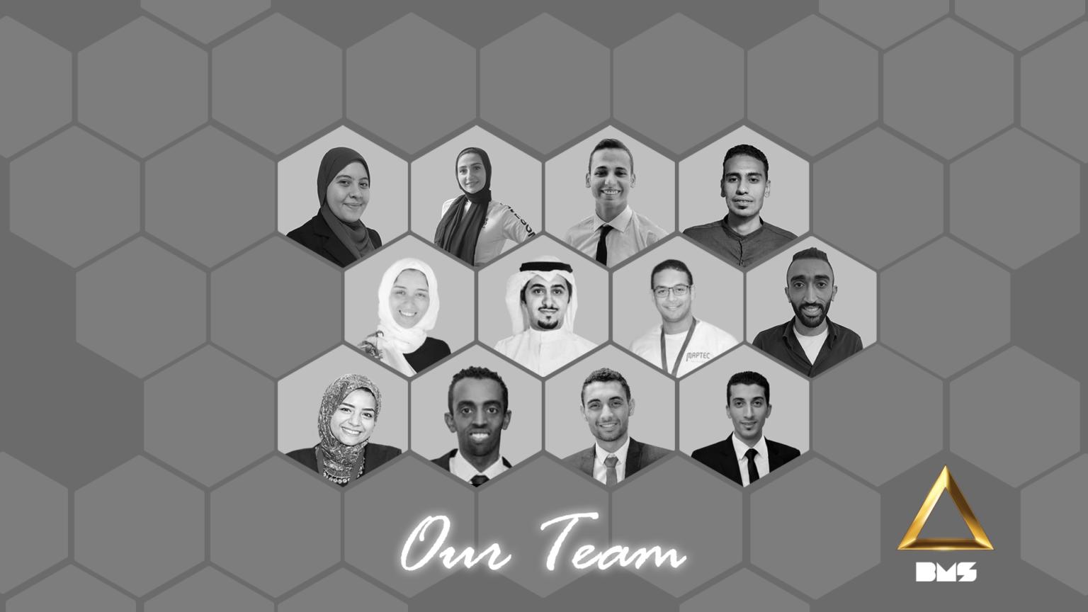 About Us – BMS GIS